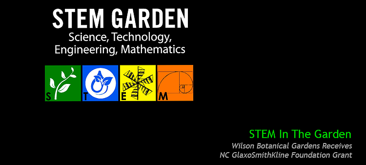 Making STEM Come Alive | NC State Extension